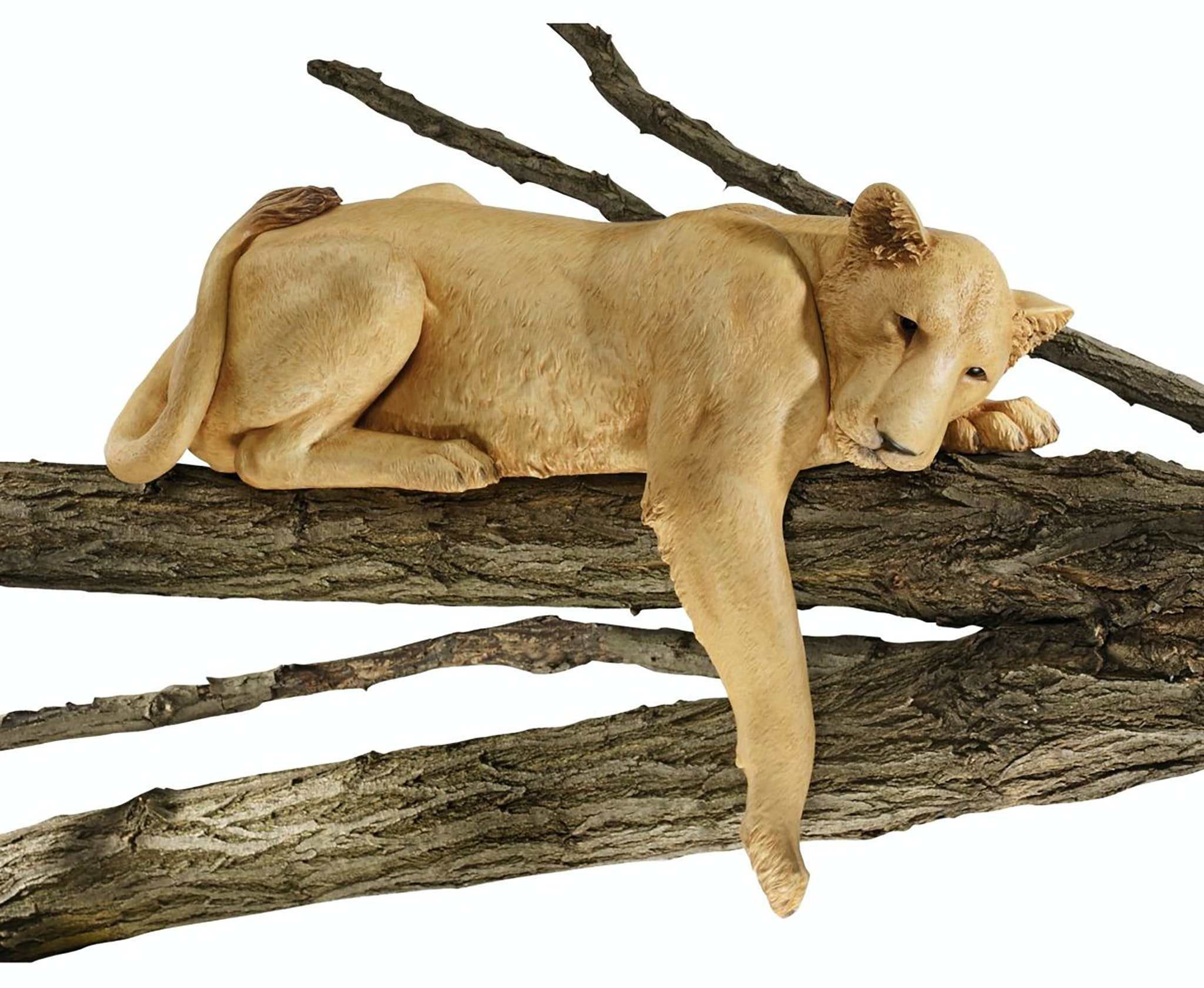 Lioness Of Namibia Statue - Contemporary - Garden Statues And Yard Art ...