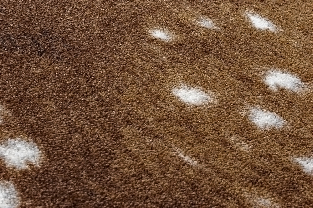 Spotted Hide OKA Sienna Area Rug, 5'4"x7'8" - Contemporary - Area Rugs ...