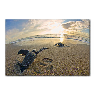 Ready2hangart Christopher Doherty Photography 'Leatherback' Canvas Wall ...