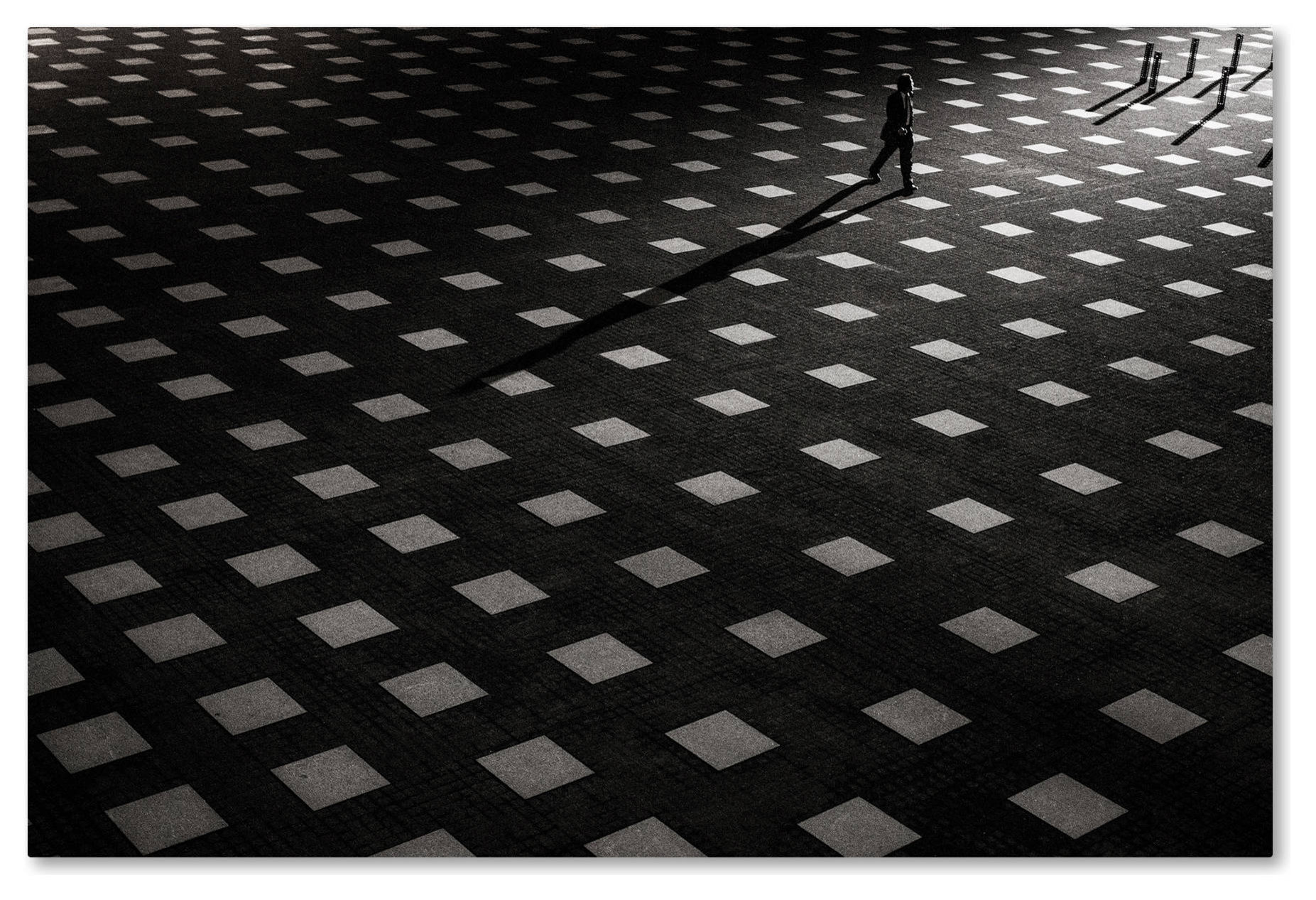 Kouji Tomihisa 'It Is Scattered' Canvas Art, 16"x24" - Contemporary - Prints And Posters - by ...