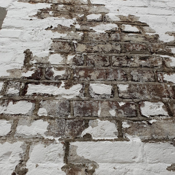 75 Painted Brick Exterior Home Ideas You'll Love - October, 2025 | Houzz