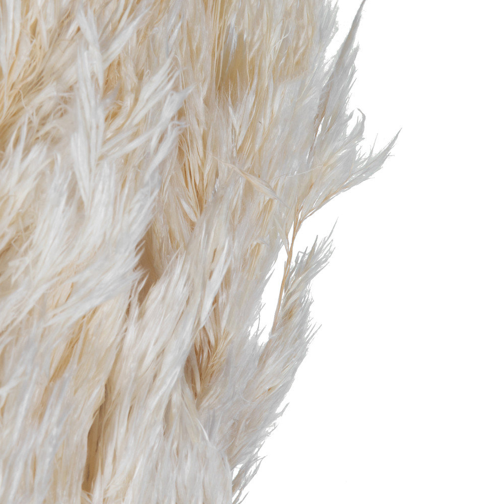 Vickerman H1PLR999-2 36" Bleached Plume Reed Bundle, 30-40 Stems ...