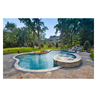 Naperville, IL Freeform Swimming Pool with Raised Hot Tub - Traditional ...