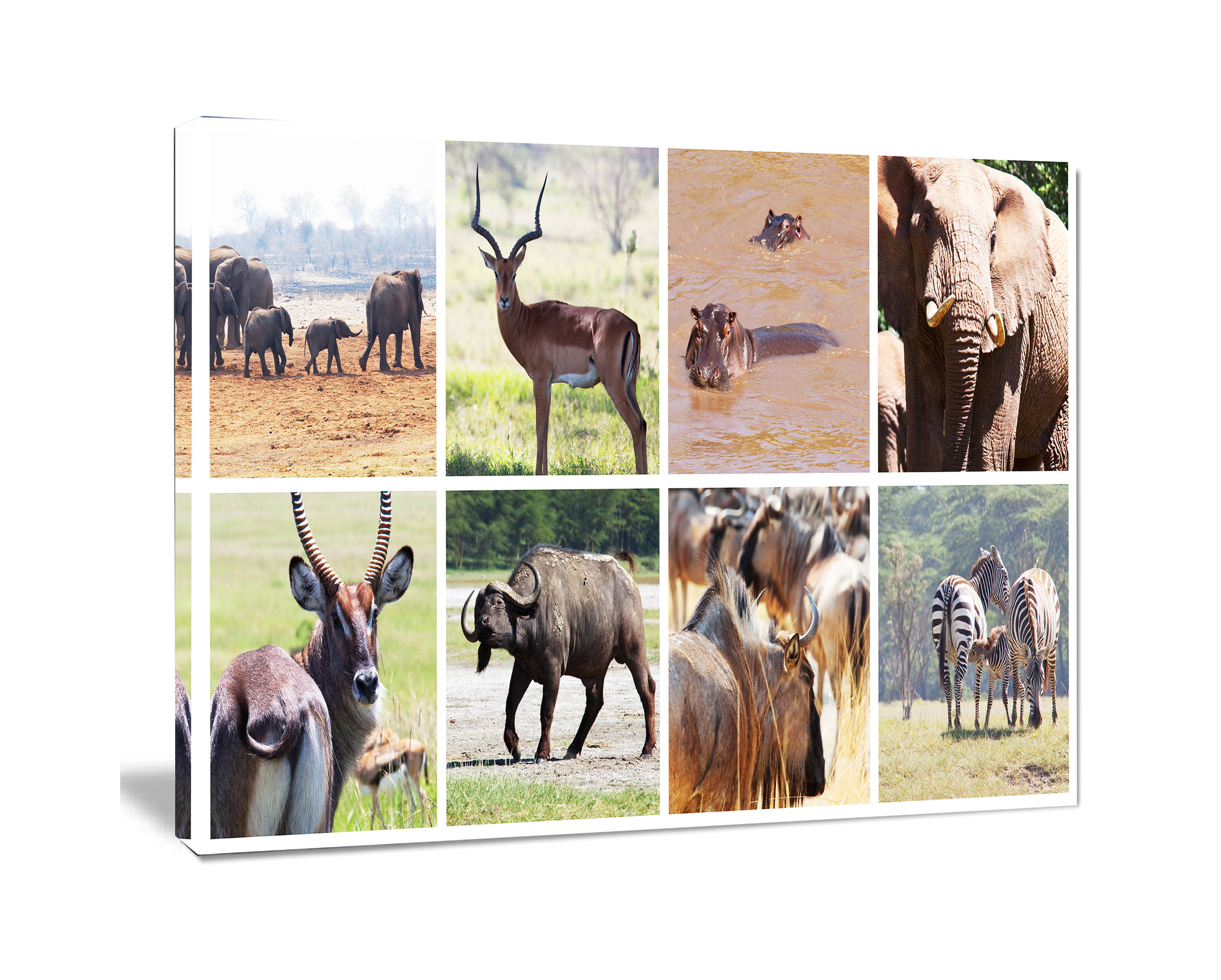 Rich African Wildlife Collage, Animal Art Painting, 40"x30"x1.5 ...