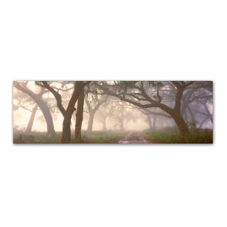 Doug Cavanah 'Dawns Early Light' Canvas Art, 10"x32" - Contemporary ...