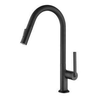 Single Handle Kitchen Faucet with Pull Down Sprayer - Transitional ...