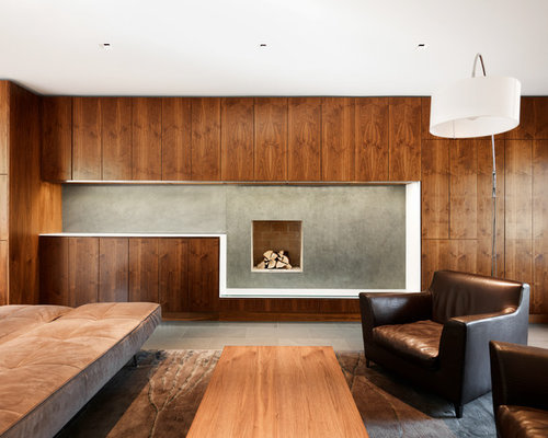 Modern Den Ideas, Pictures, Remodel and Decor