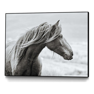 Giant Art Canvas 24x18 The Fell Framed in White - Contemporary - Prints ...