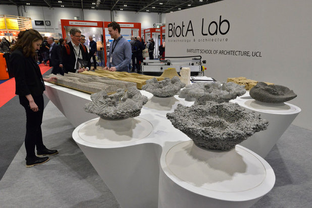 World of Design: The Joy of Moss and Its Modern Uses