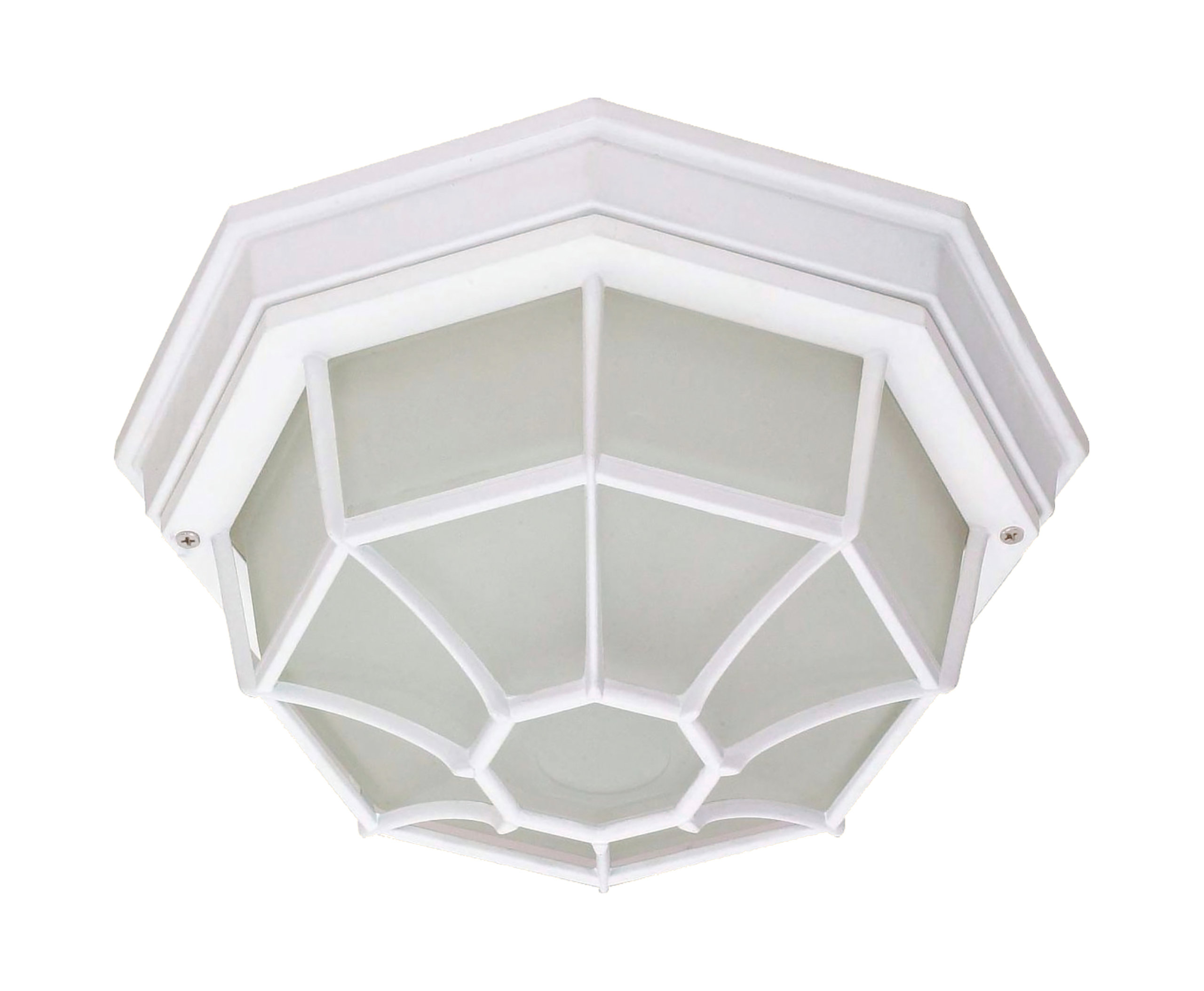 LED Spider Cage Fixture - White Finish with Frosted Glass - Traditional ...