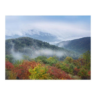 "Broadleaf forest in fall colors, Skyline Drive, Shenandoah" Paper Art ...