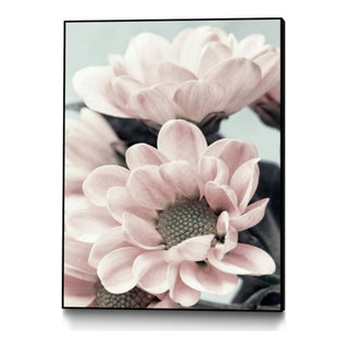 Giant Art Canvas 30x40 Opulent 3 Framed in Pink - Contemporary - Prints ...
