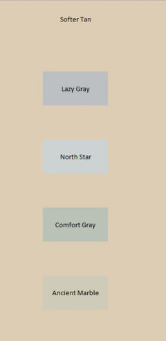 SW Softer Tan coordinating color?