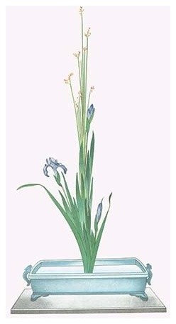 Futoi, Kakitsubata (Scirpus & Iris Laevigata) in a Sunabachi, 12" x 18 ...