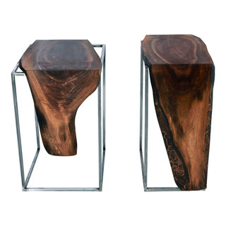 Flitch End Table - Contemporary - Side Tables And End Tables - by Anton ...
