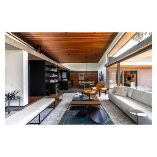 SR House - Modern - Living Room - Dallas - by Carina Vaz Interiors | Houzz