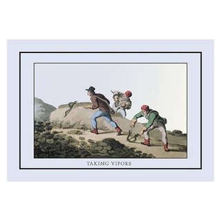 Taking Vipers, 20" x 30" - Traditional - Prints And Posters - by ...