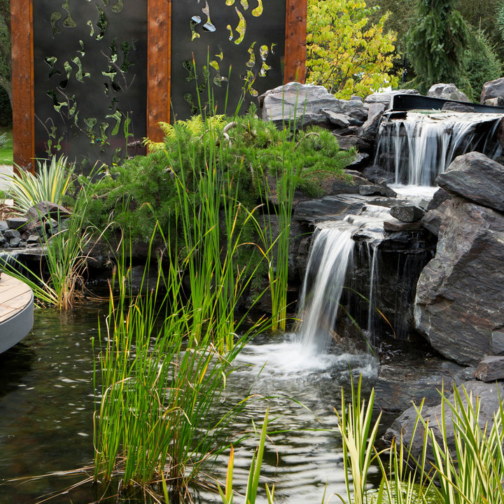 75 Beautiful Asian Garden Ideas & Designs - February 2025 | Houzz AU
