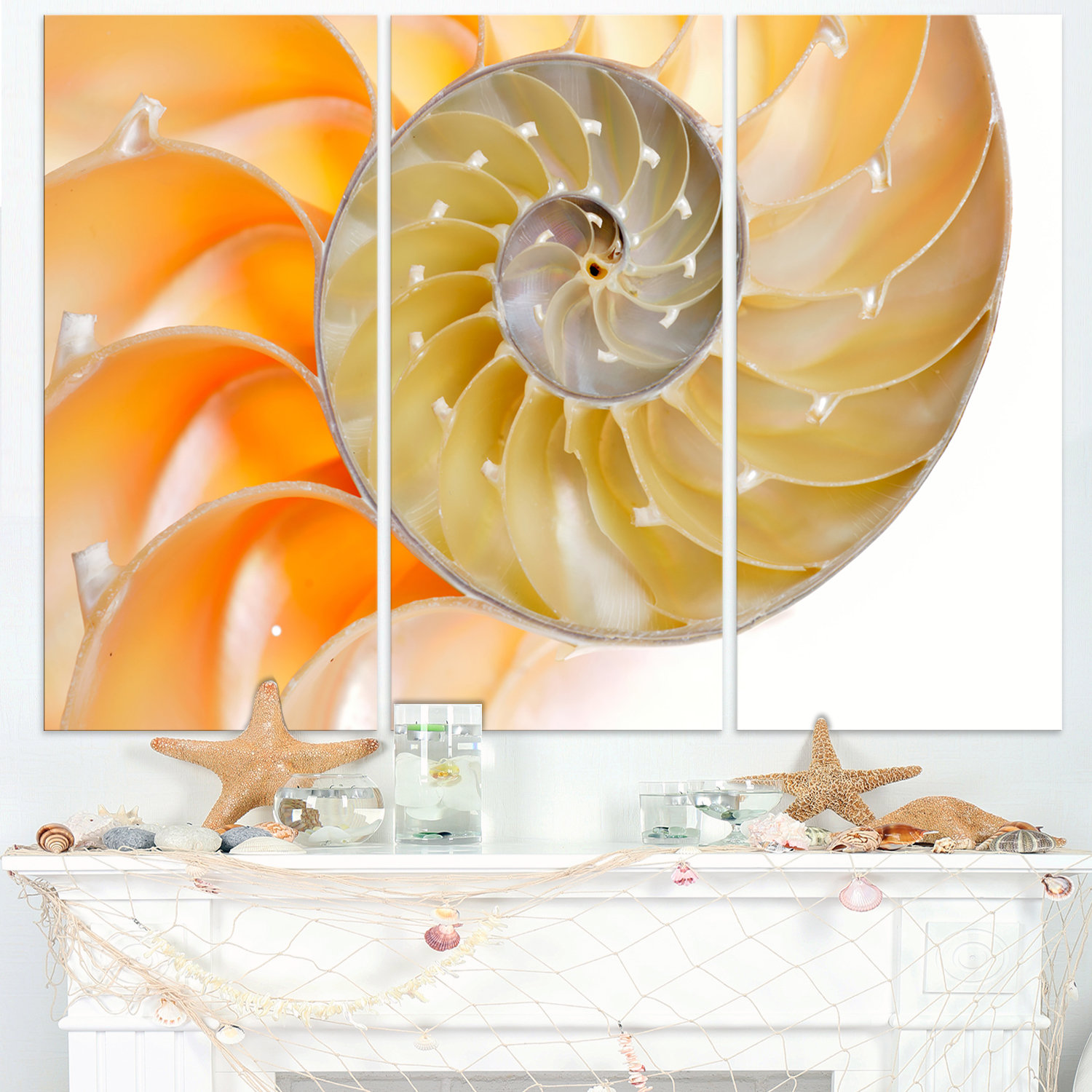 "Isolated Nautilus Shell" Art Canvas Art Print, 3 Panels, 36"x28", 36 ...