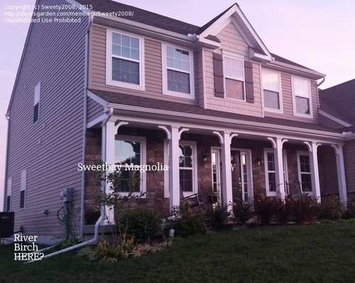 Need help, confused and unsure about landscape design.