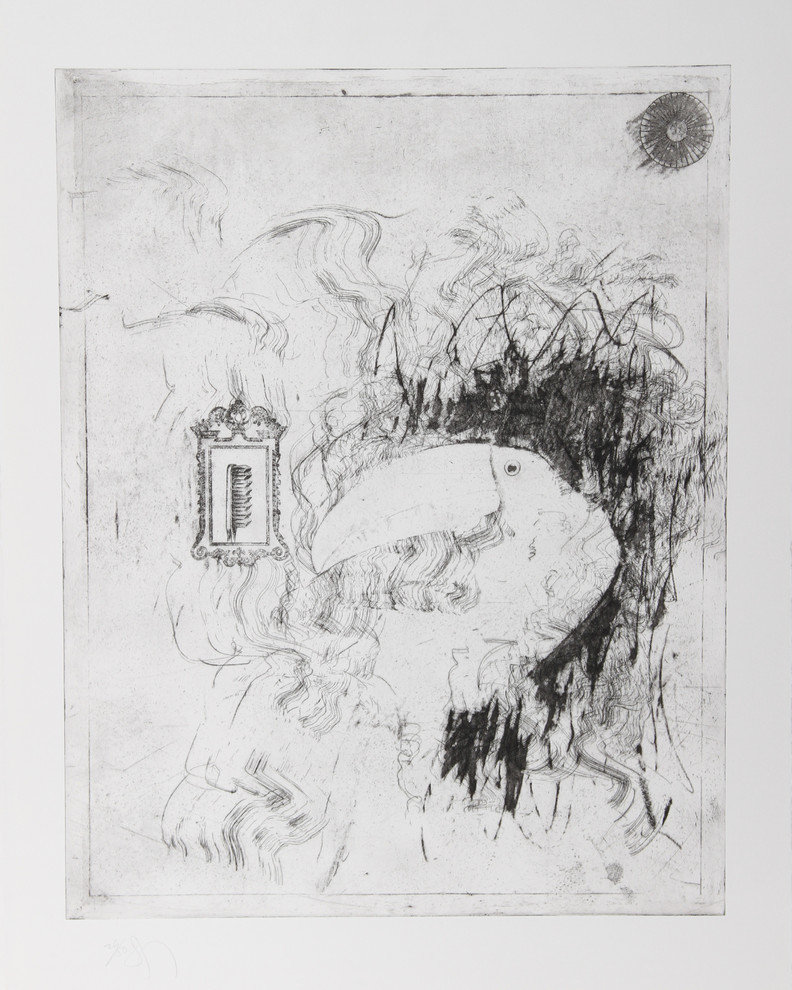 Donald Saff "Toucan" Etching - Contemporary - Fine Art Prints - by ...