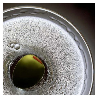 Birds Eye Martini Poster Print by Barry Seidman - Item # VARPDXBSSQ001C ...