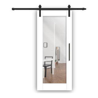 Mirrored Sliding Door with Mirror Insert + without Hardware Kit, 38"x84 ...
