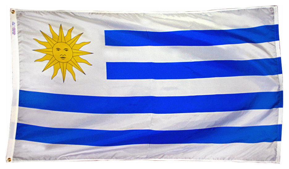 Uruguay, 2'x3' Nylon Flag - Traditional - Flags And Flagpoles - by FlagLine | Houzz