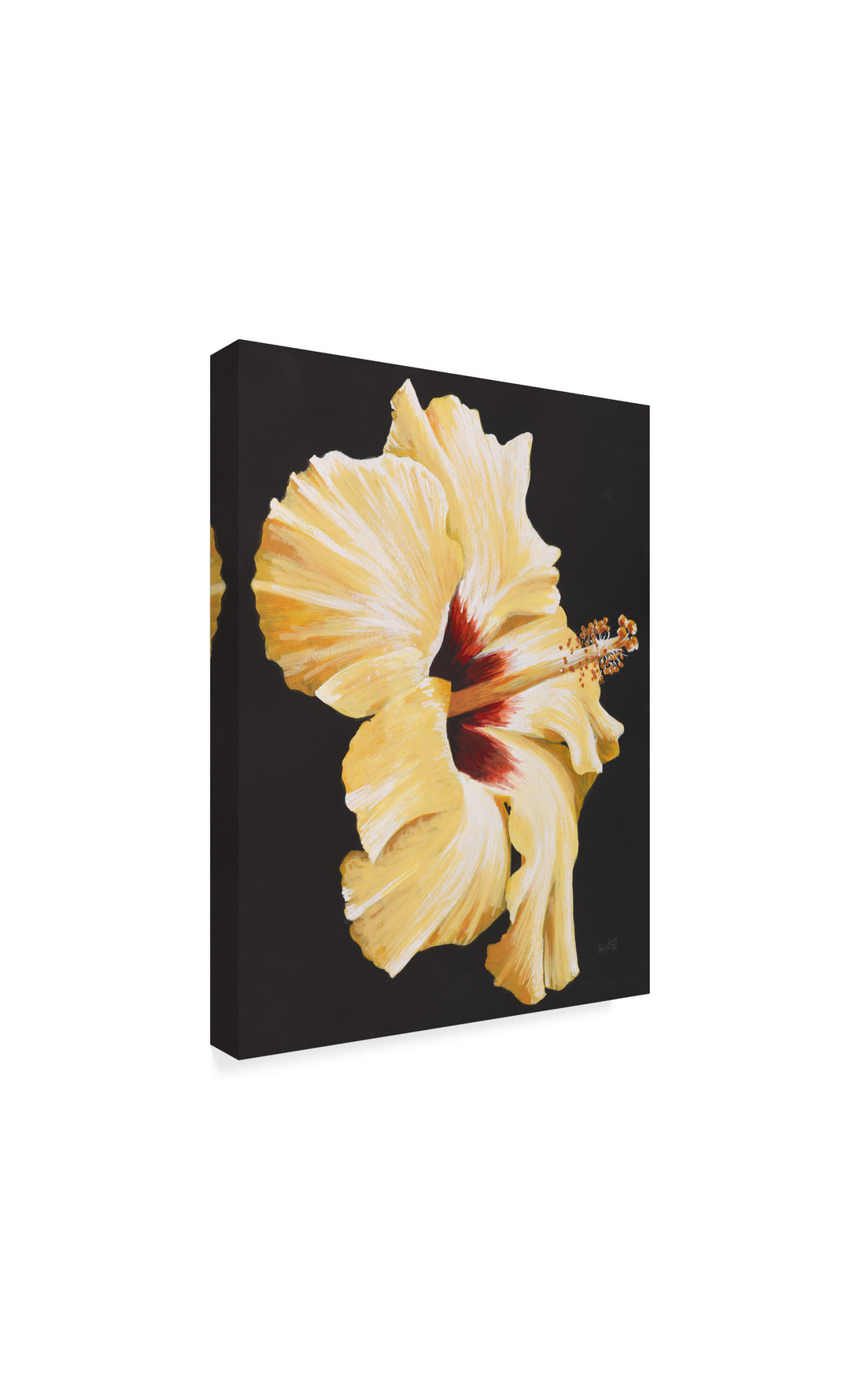 "Sunny" by Barbara Keith, Canvas Art, 19"x14" - Tropical - Prints And ...