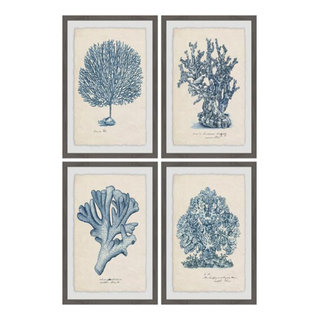 4-Piece "Sea Coral Study" Quadriptych, 32"x48" - Beach Style - Prints ...