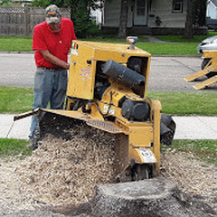 PAUL'S STUMP REMOVAL - Project Photos & Reviews - grandforks, ND US | Houzz