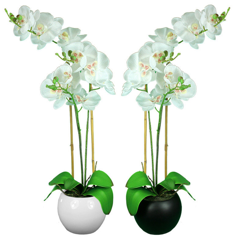 Round Ceramic Pot With Polyester Orchid Plant, Assortment of Two ...