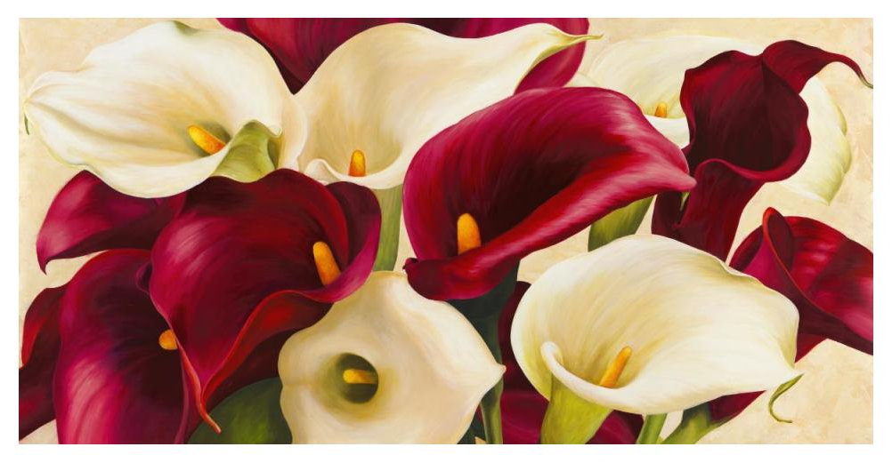 "Calla Composition" Digital Paper Print by Serena Biffi, 26"x14", 26 ...