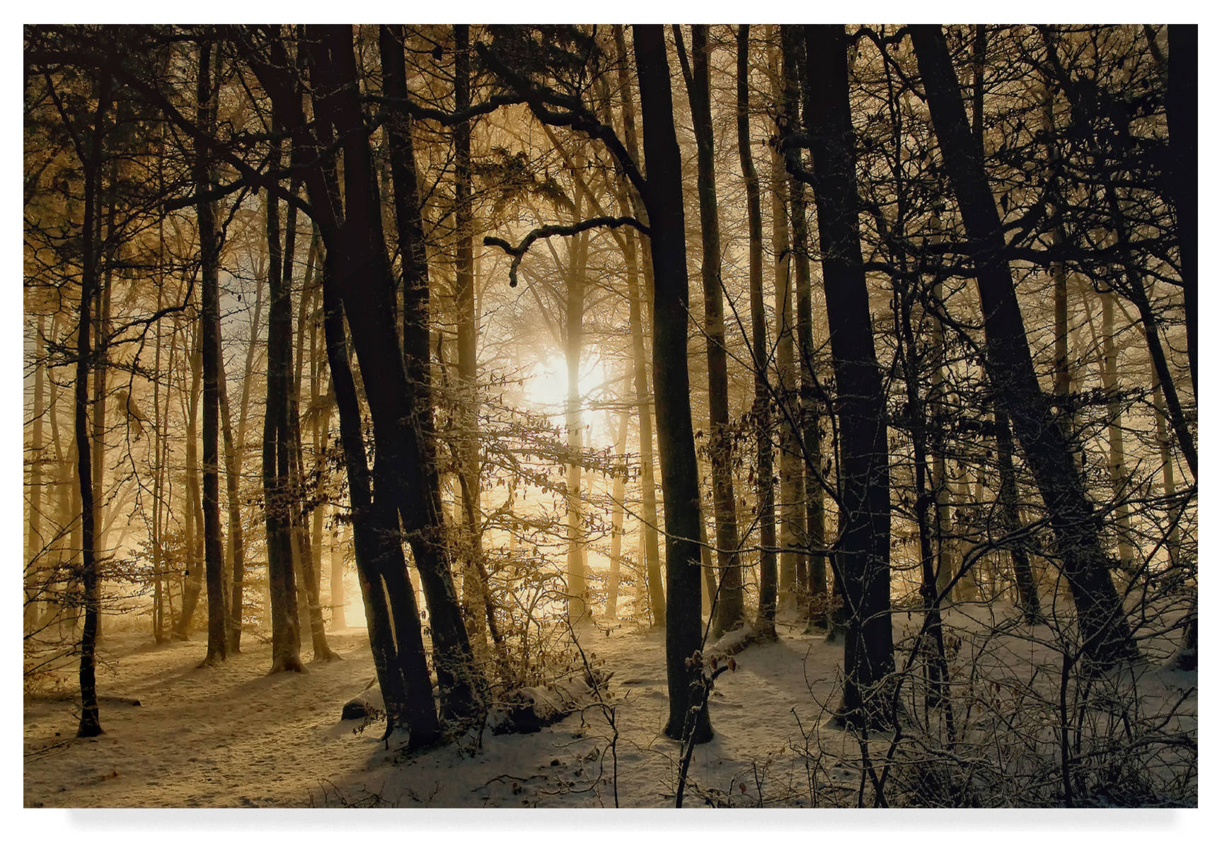 Norbert Maier 'Winter Morning' Canvas Art, 19"x12" - Rustic - Prints ...