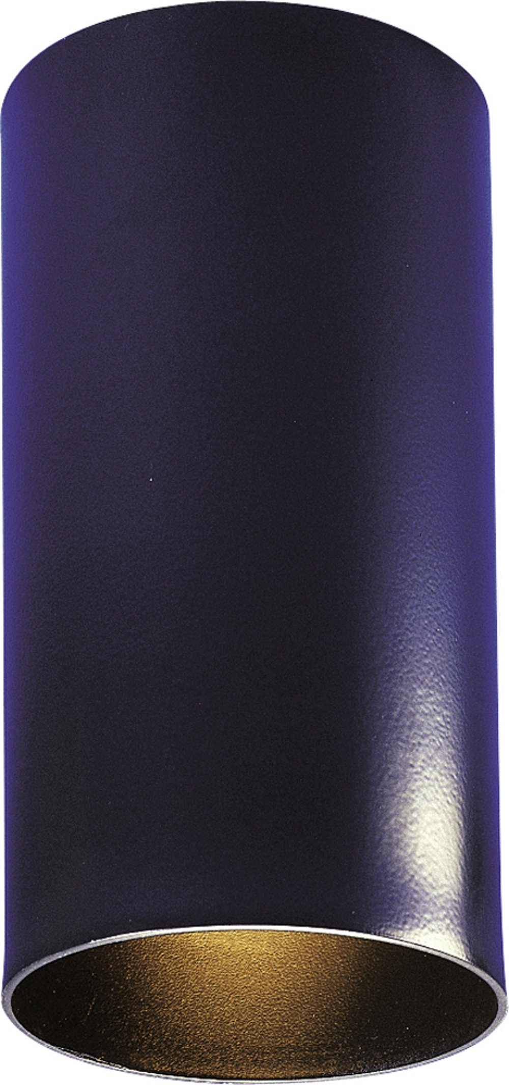1-Light Interior Flush Mount, Black - Modern - Flush-mount Ceiling ...