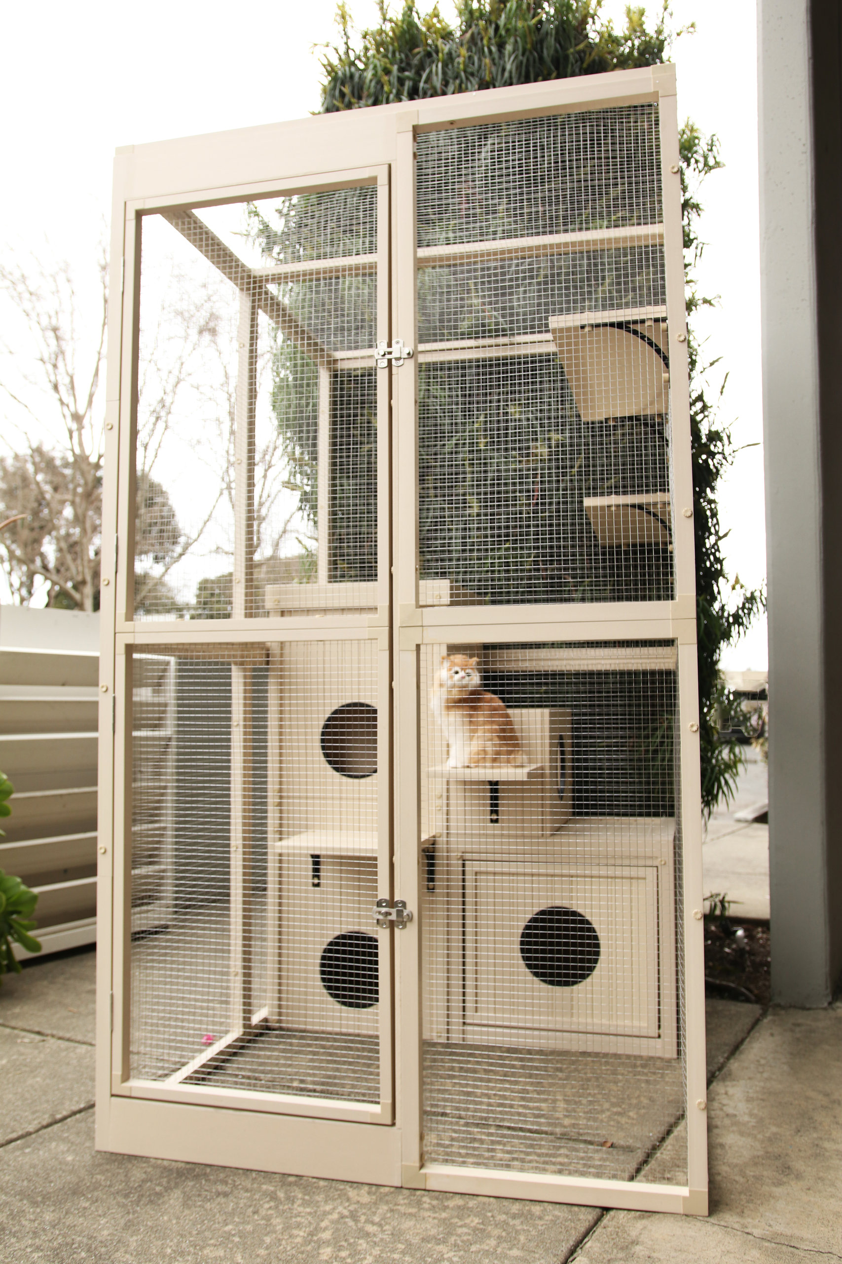 ECOFLEX Kitty Katio Climber Cat House, Standard - Modern - Cat ...