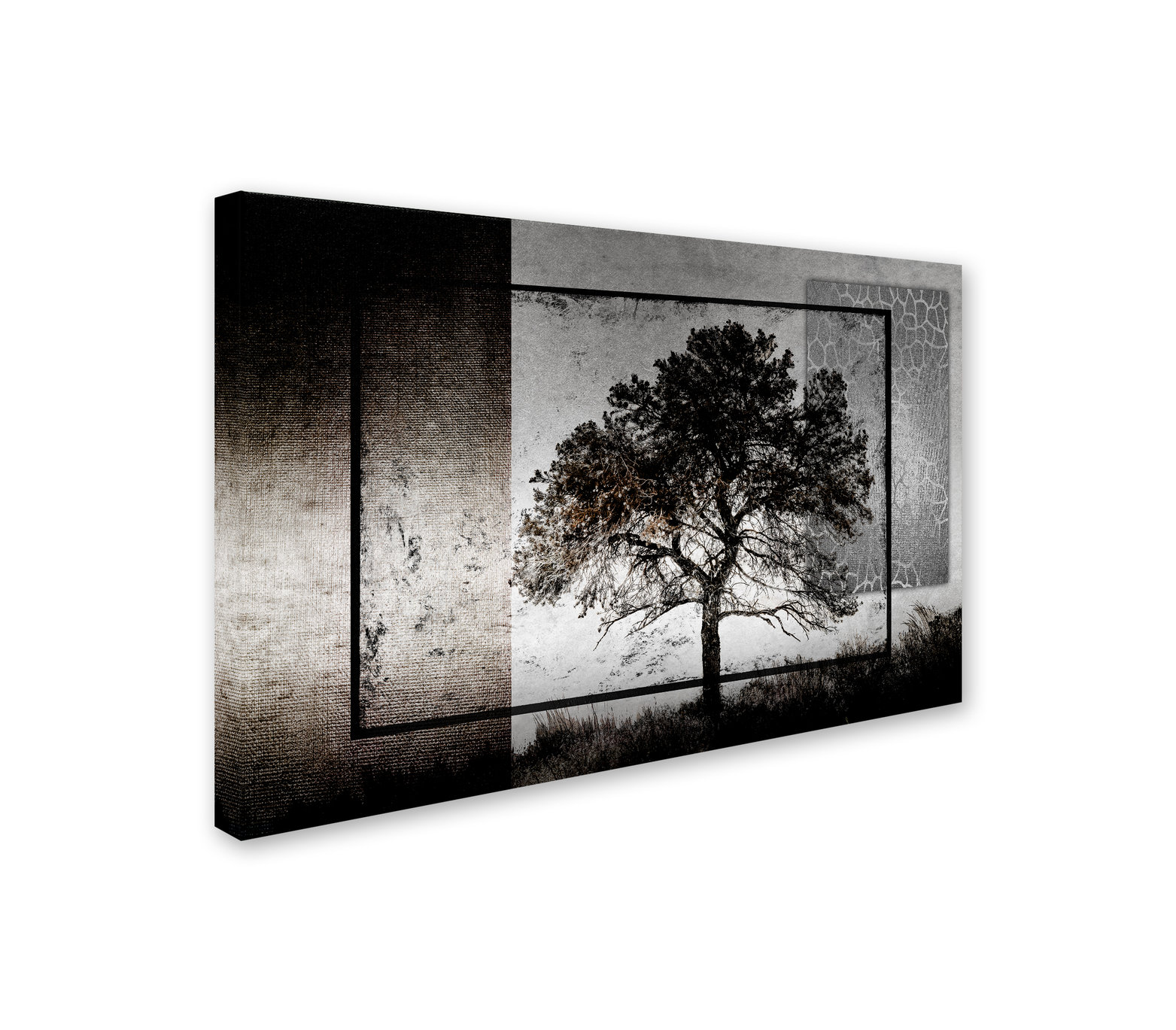LightBoxJournal 'July Tree' Canvas Art, 12"x 19" - Contemporary ...