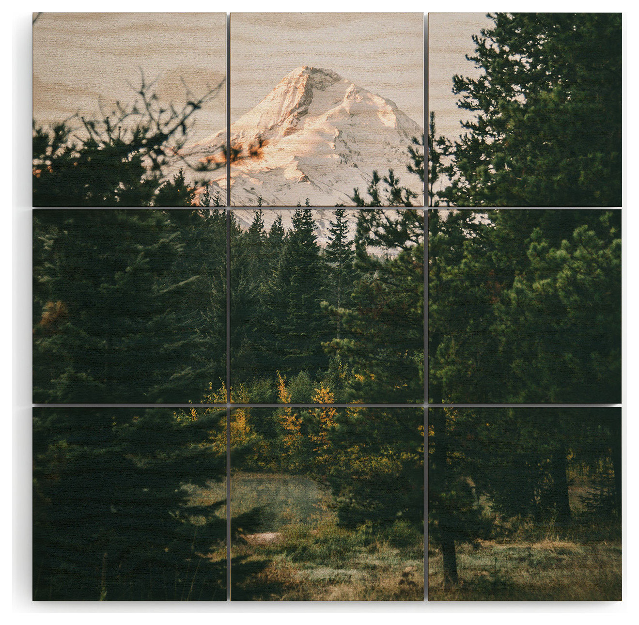 Hannah Kemp Mount Hood Xv Wood Wall Mural, 36x36 - Rustic - Tile Murals ...