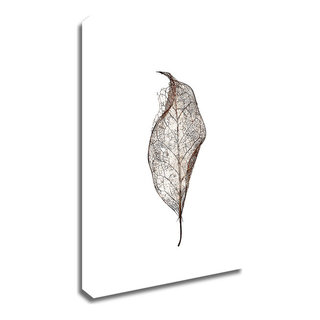 Leaf by Design Fabrikken, Print on Canvas, 25"x35" - Contemporary - Prints And Posters - by ...