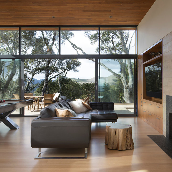 Luxurious Game Room - Photos & Ideas | Houzz