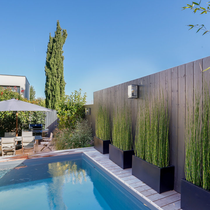 75 Beautiful Front Yard Pool Ideas & Designs - August 2025 | Houzz AU
