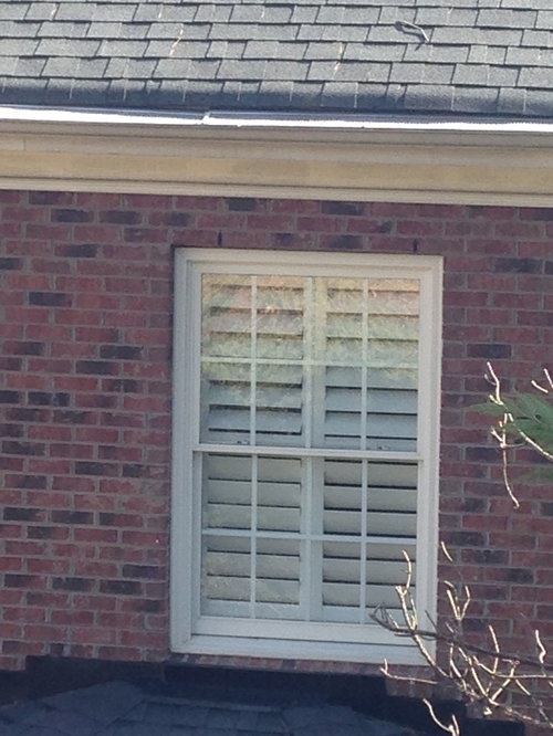 Damage to gutter due to tree strike