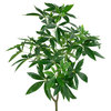 4' Artificial Unbraided Potted Green Money Tree - Modern - Artificial ...