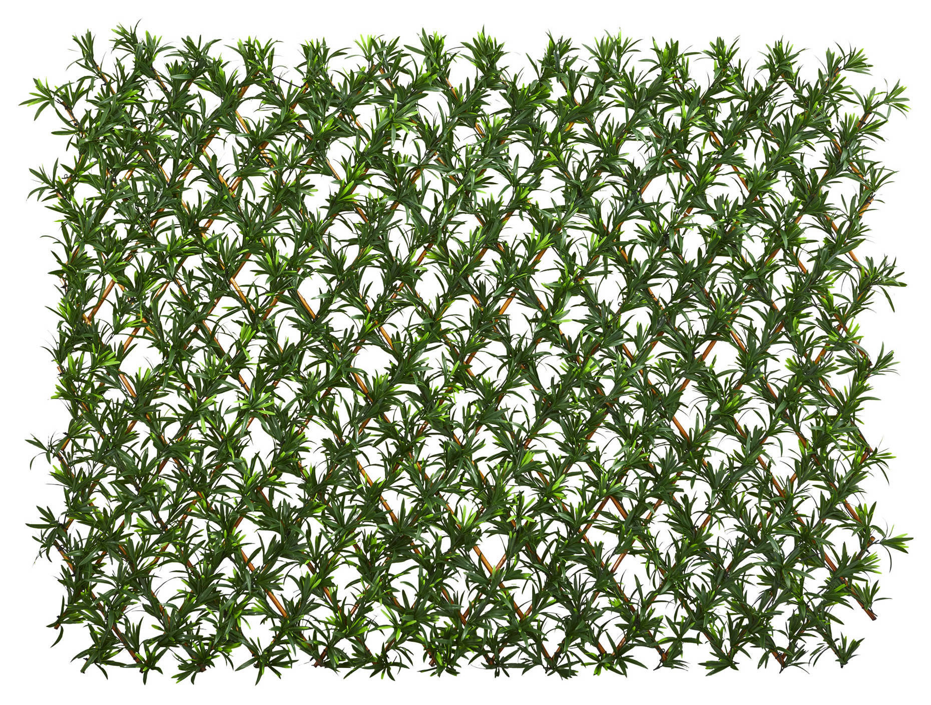 39" Podocarpus Expandable Fence UV Resistant and Waterproof ...