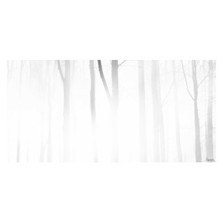 "Blinding White" Artwork, 24"x12" - Contemporary - Prints And Posters ...