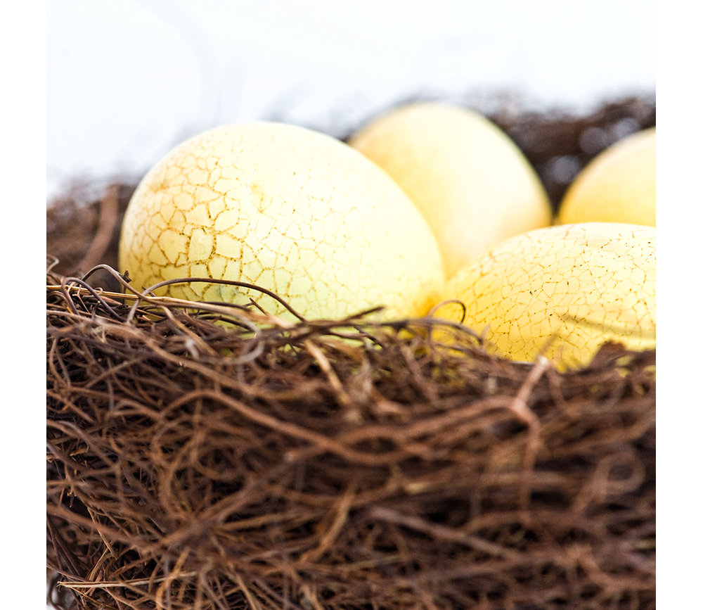 "Hatch", 30" x 30" - Farmhouse - Metal Wall Art - by JVA Art Group | Houzz