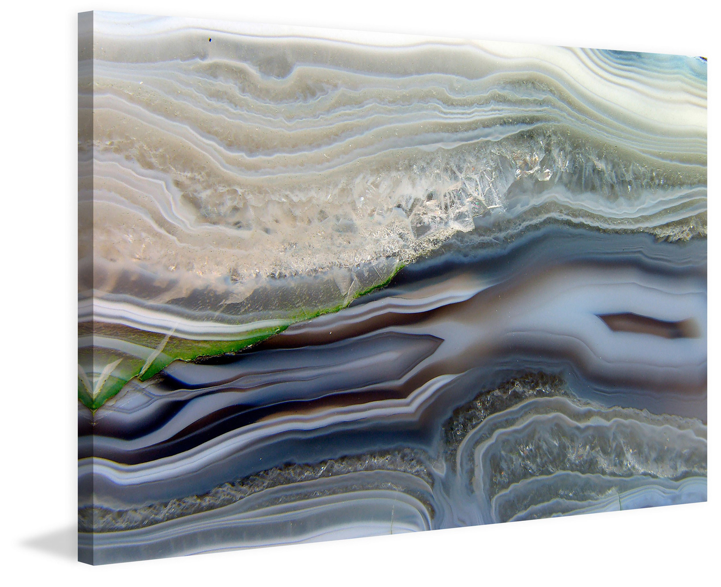 "Crustations" Painting Print on Canvas, 24"x16" - Contemporary - Prints ...