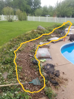 Getting rid of ground cover