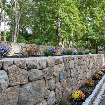 75 Modern Lawn Edging Ideas You'll Love - October, 2025 | Houzz