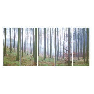 "Autumn Tree Trunks Panorama" Oversized Forest Canvas Artwork, 60"x28 ...